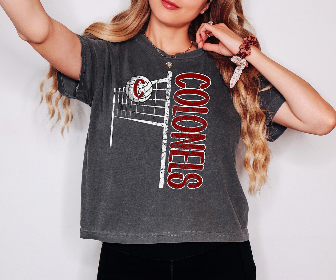 Colonels Team Volleyball Net Distressed DTF Print – Torch Light
