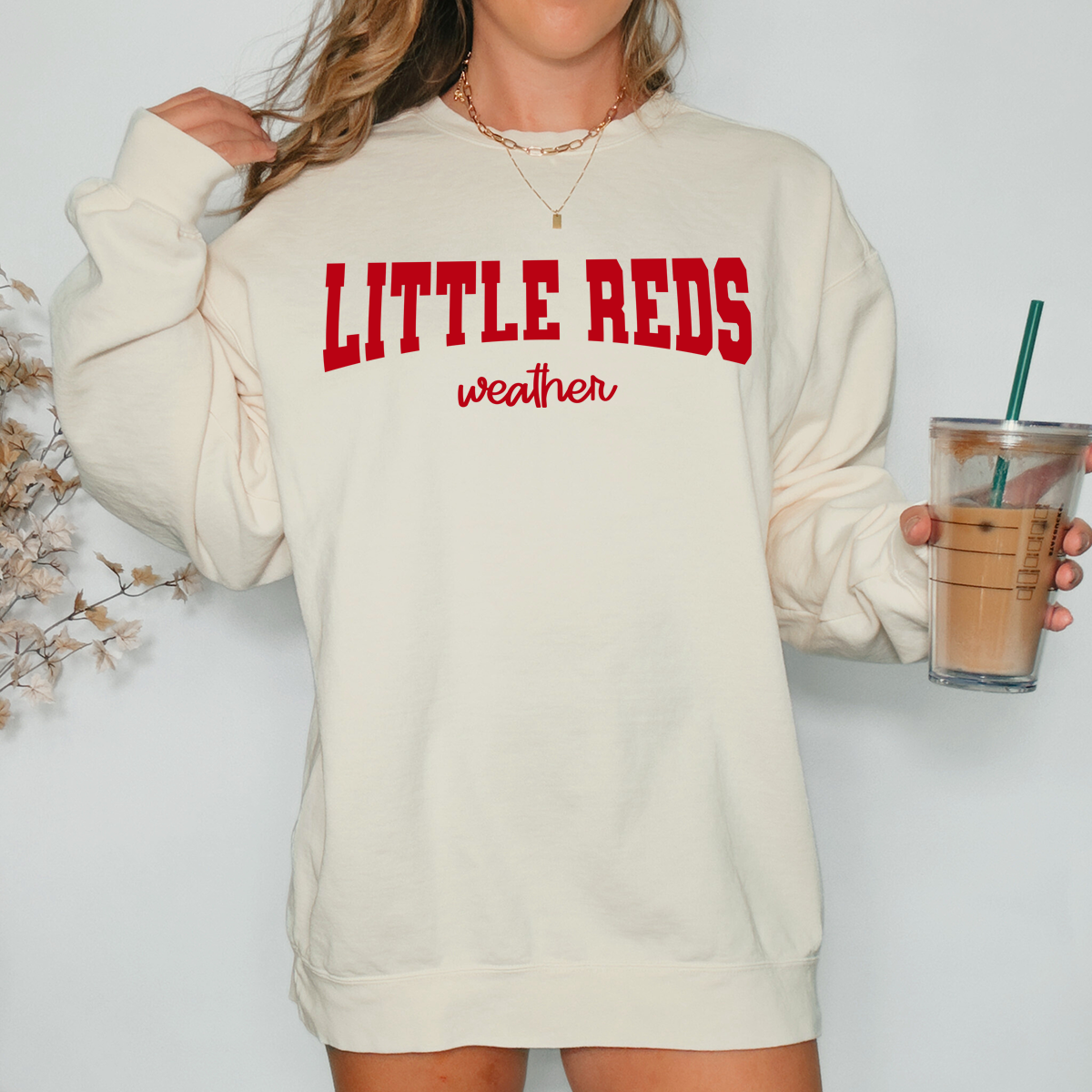 Little Reds Team Weather DTF Print – Torch Light