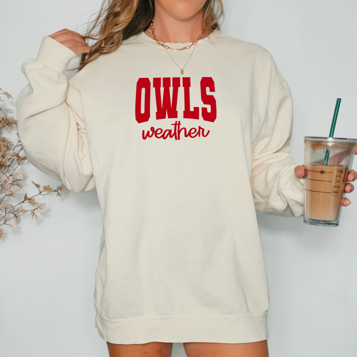 Owls Team Weather DTF Print – Torch Light