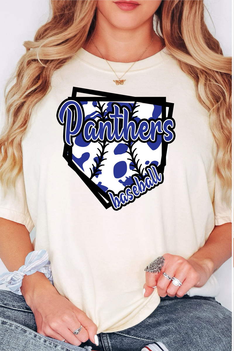 Panthers Baseball DTF Print – Torch Light