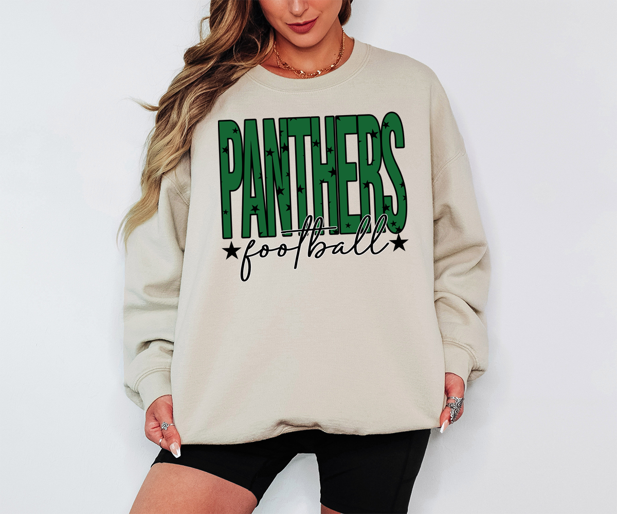 Panthers Football Star Power Team Sports DTF Print – Torch Light