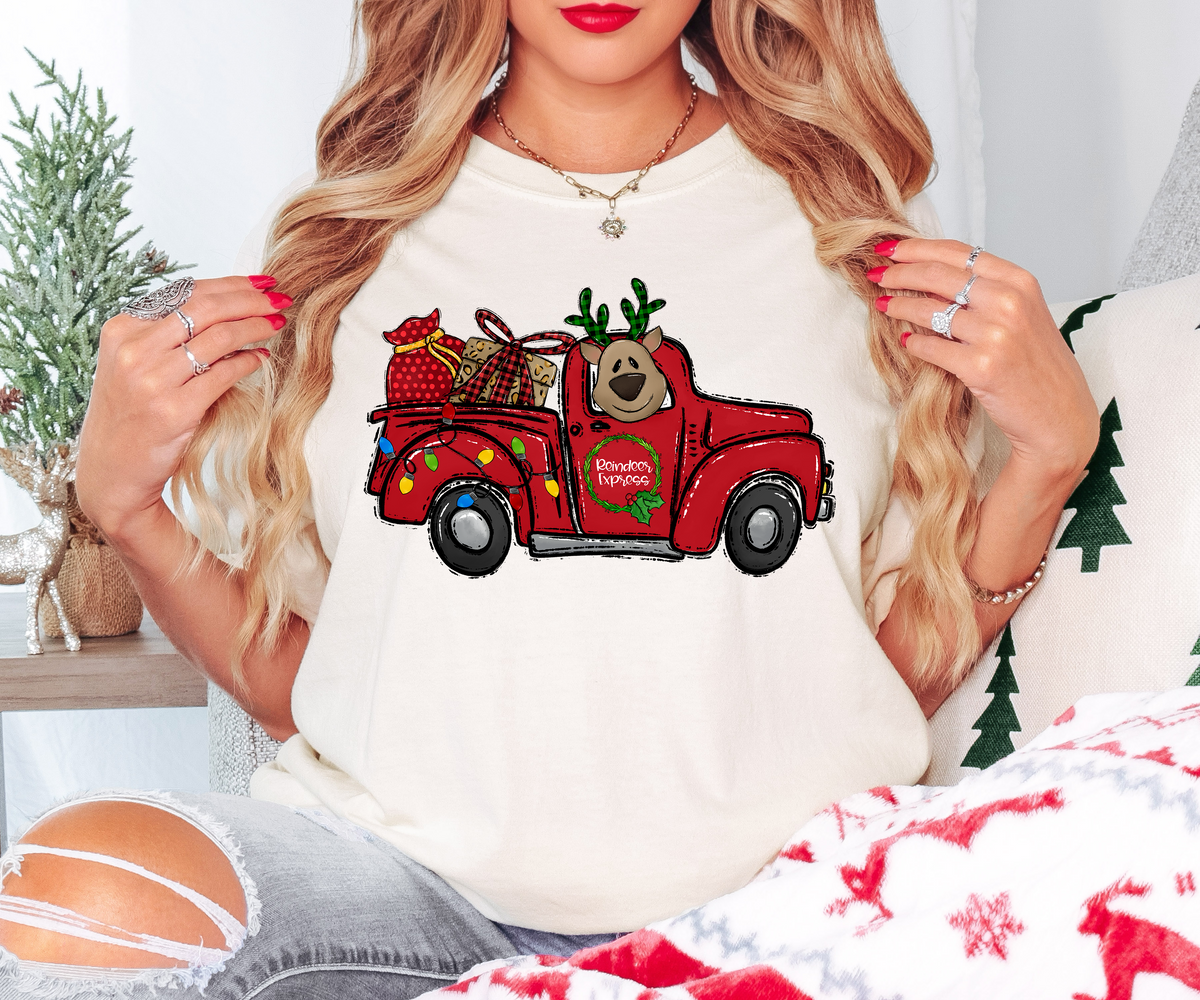 Reindeer Express DTF Print – Torch Light