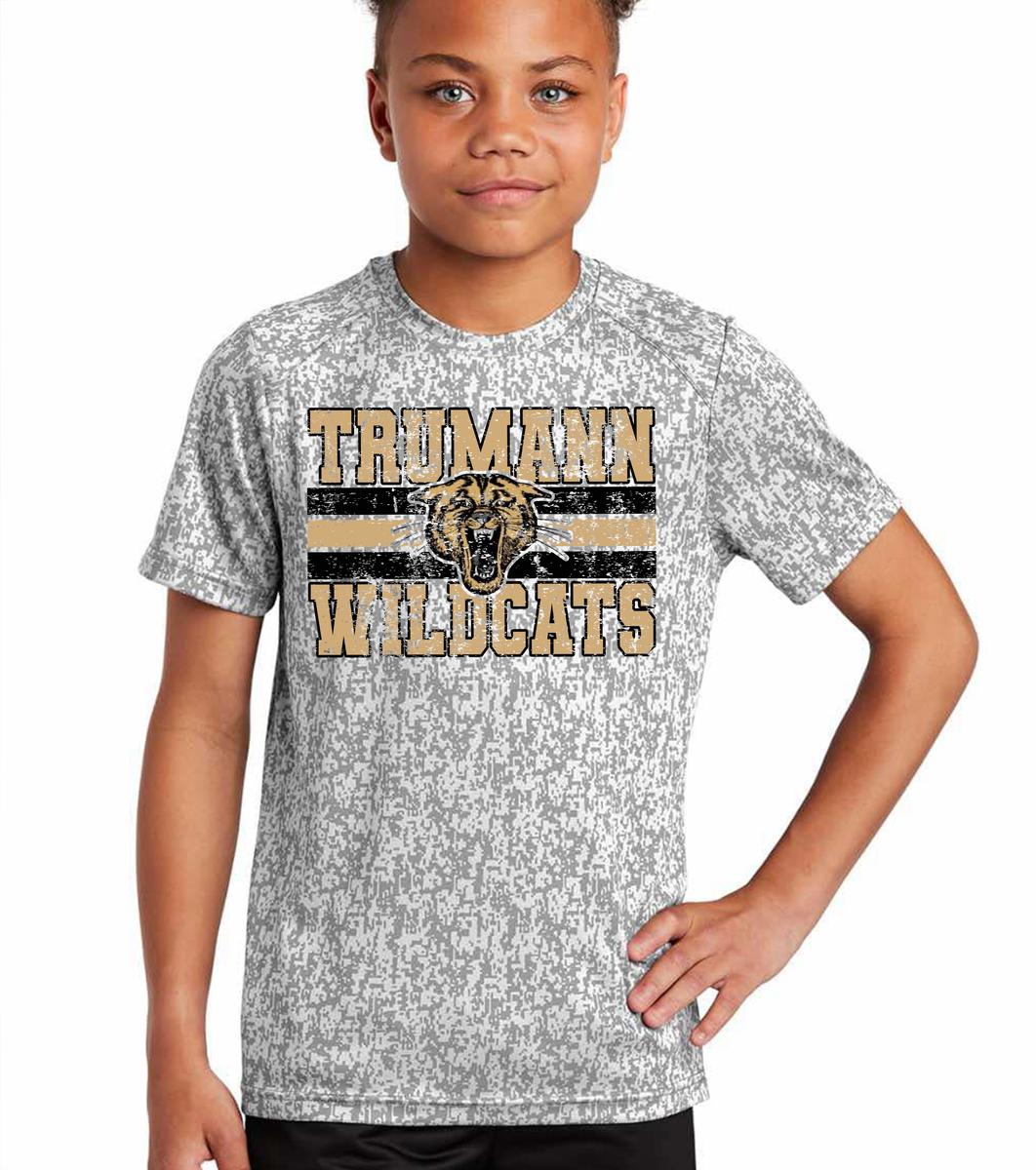 Trumannn Wildcats Grunge DTF Print – Torch Light