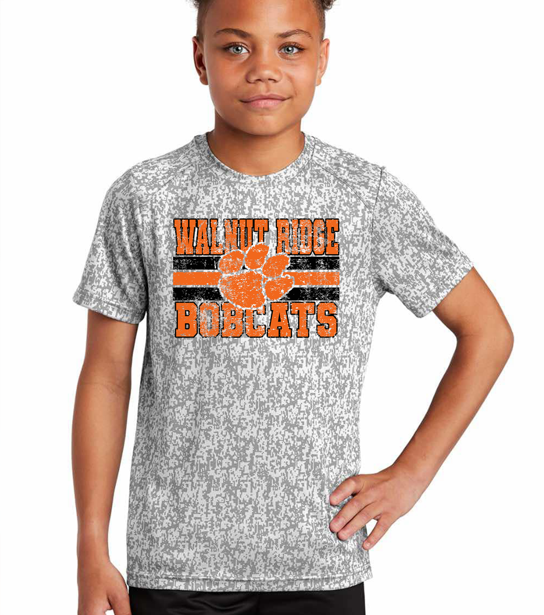 Walnut Ridge Bobcats Grunge DTF Print – Torch Light